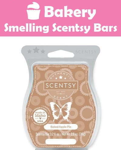 Scentsy Bars Canada | Tanya Charette