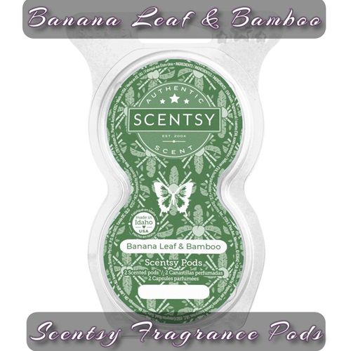 Banana Leaf and Bamboo Scentsy Pods | Tanya Charette