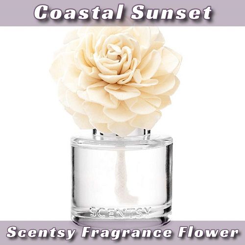 Coastal Sunset Scentsy Fragrance Flower | Tanya Charette