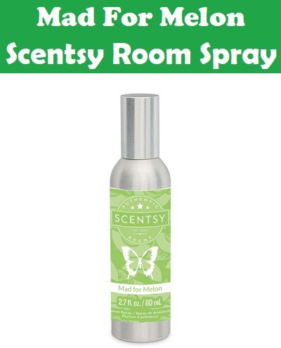 Mad For Melon Scentsy Bar | Tanya Charette