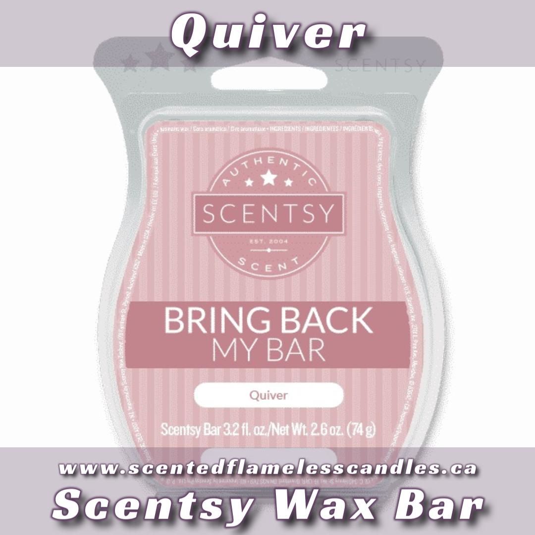 Scentsy Bring Back My Bar January 2023 | Canada & USA | Tanya Charette