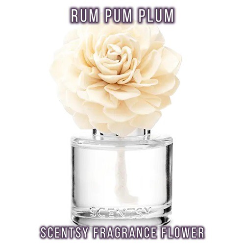 Rum Pum Plum Scentsy Fragrance Flower | Tanya Charette
