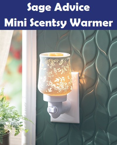 New Scentsy Warmers 2021 | Tanya Charette