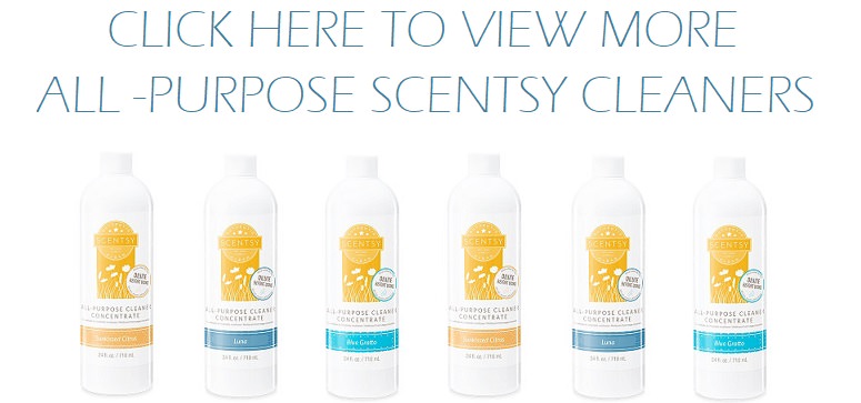 Go Go Mango All-Purpose Scentsy Cleaner | Tanya Charette