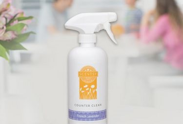 Scentsy Cleaning Products | Independent Canadian Scentsy Consultant