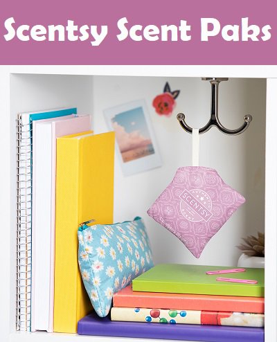 Unplugged Scentsy Products | Tanya Charette