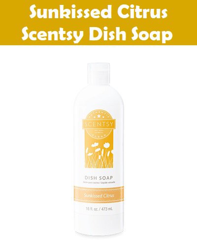 Sunkissed Citrus Scentsy Dish Soap | Tanya Charette